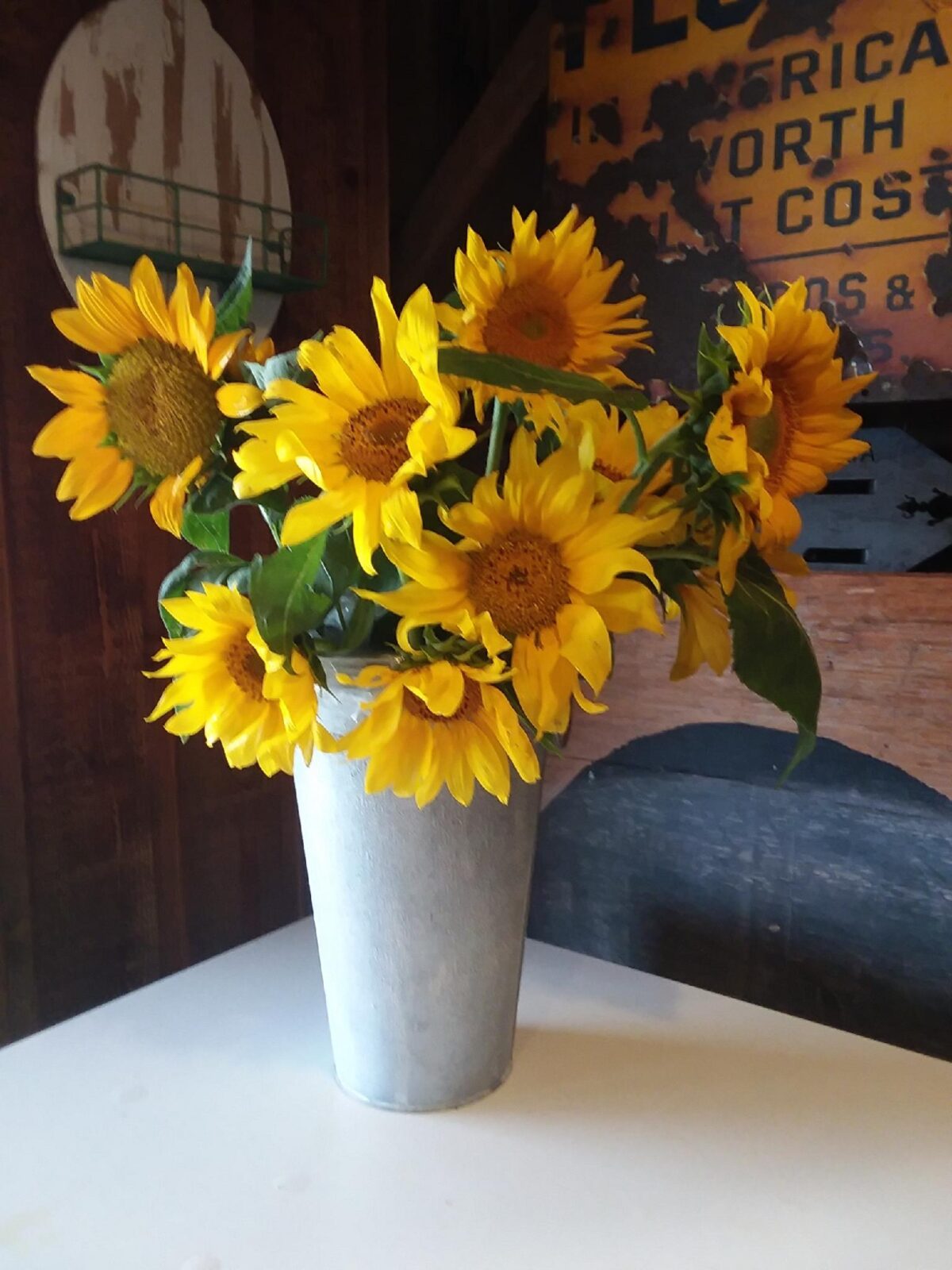 Indiana Sunflower Festival